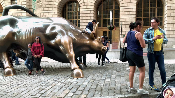 Charging Bull on Wall Street with tourists Financial District Manhatta – NY Clips